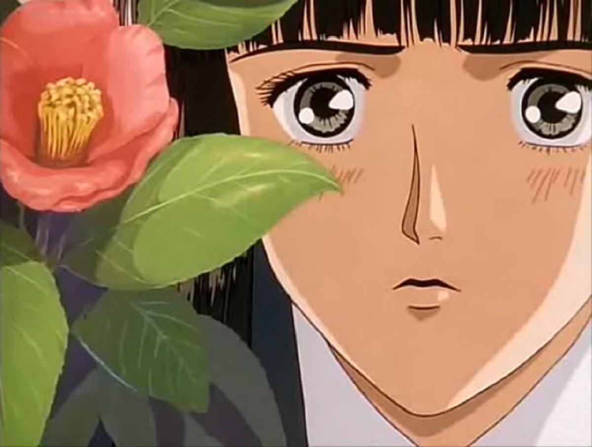 The Shoujo Anime that Stole Hearts in the 90s - 90sanime.com